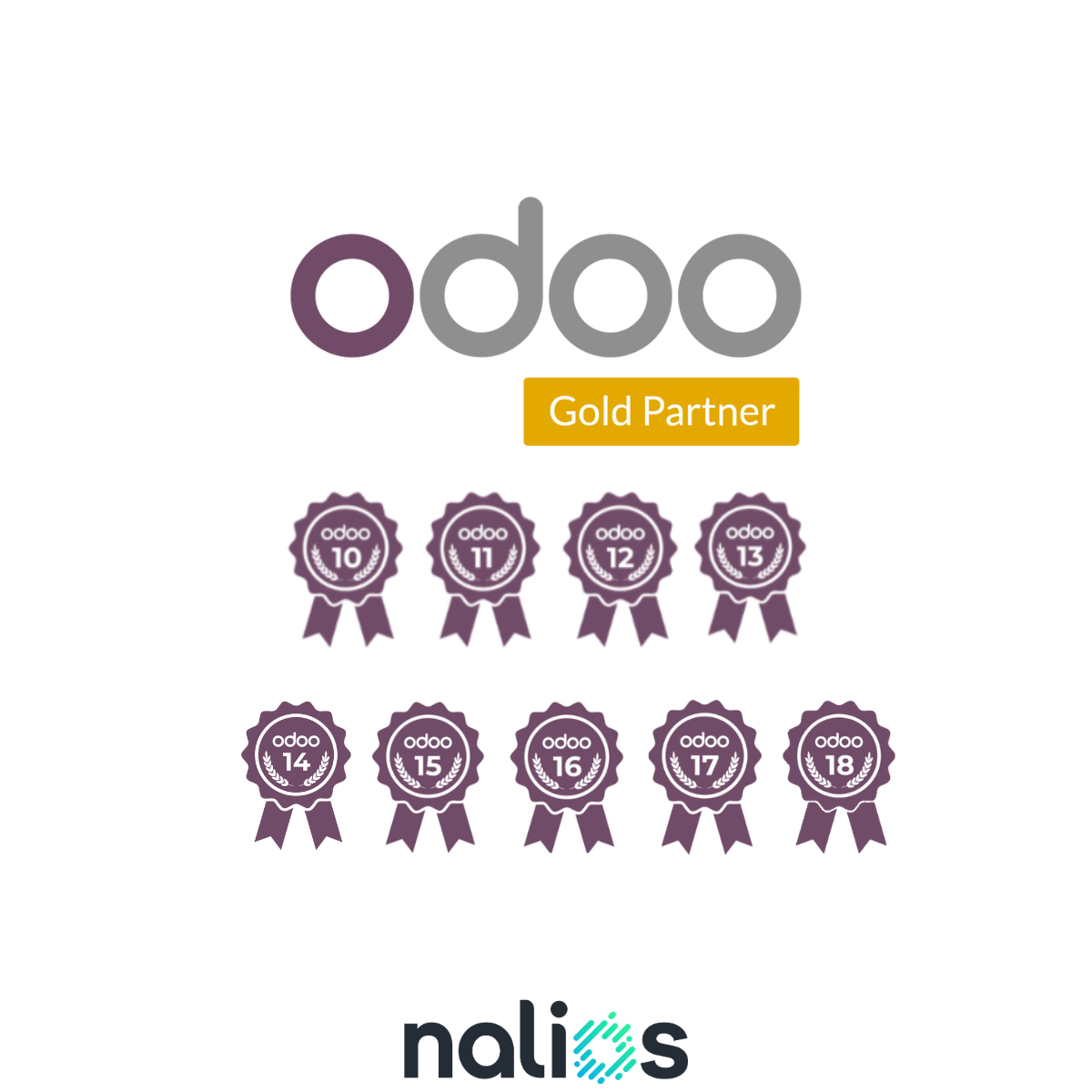 Nalios | Votre intégrateur Odoo | CRM ERP